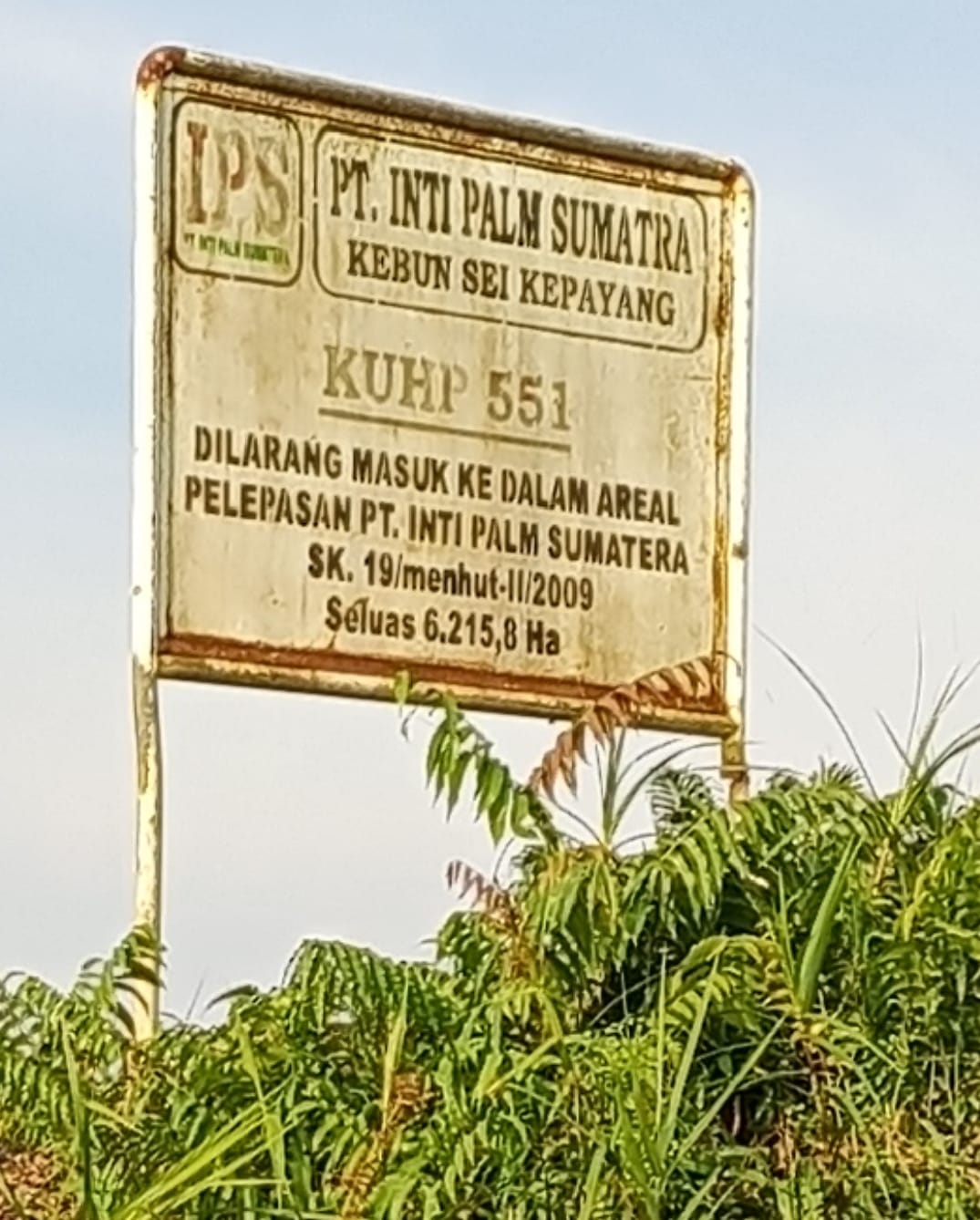 PT IPS Diduga Melebihi Izin Pelepasan Kawasan Hutan di Sei Kepayang ...